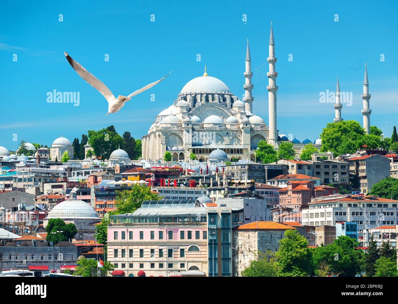 Istanbul and view on Suleymaniye mosque, Turkey Stock Photo - Alamy