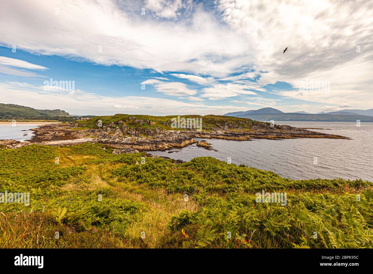 Mull tree landscape hi-res stock photography and images - Alamy