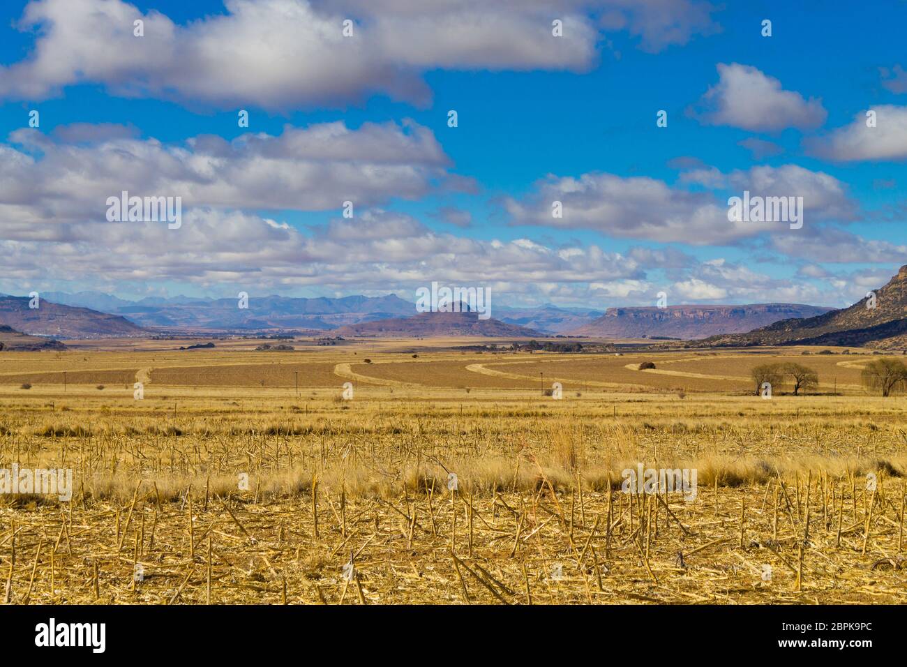Orange Free State panorama on the road to Karoo, South Africa. African ...