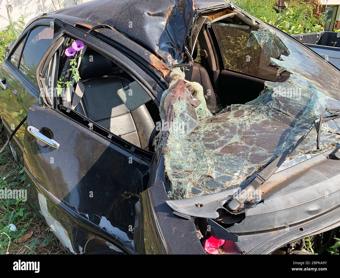 Car Wreck Environmental Disaster, forgotten damaged car with plants ...