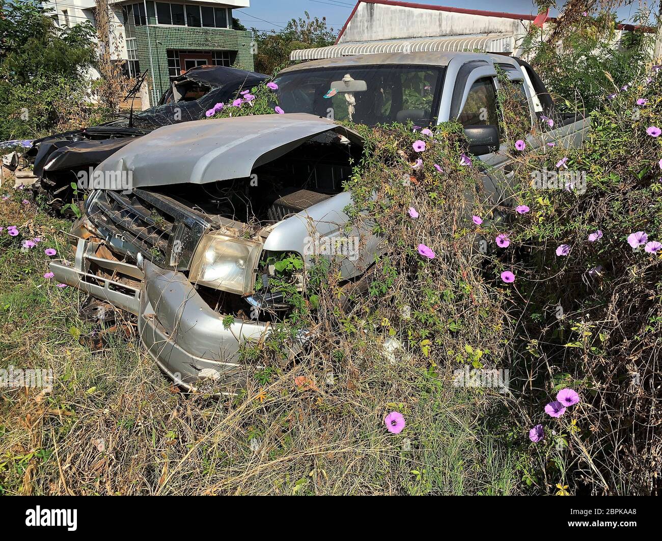 Car Wreck Environmental Disaster, forgotten damaged car with plants ...