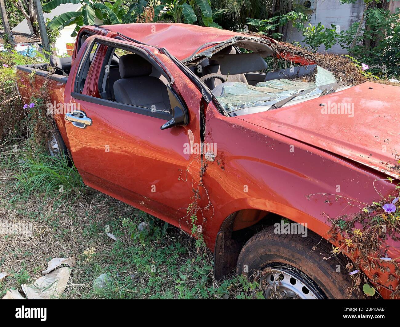 Car Wreck Environmental Disaster, forgotten damaged car with plants ...