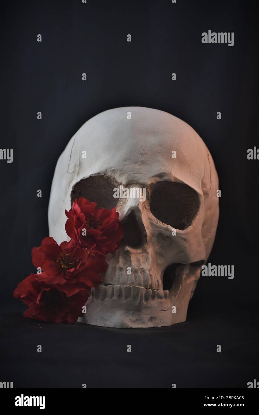Human skull flower hi-res stock photography and images - Alamy