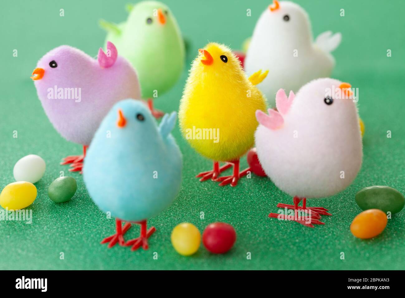 Colorful little chicks for a cheerful easter decoration Stock Photo - Alamy