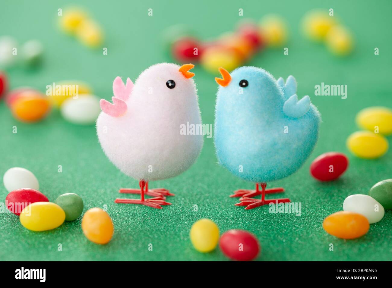 Colorful little chicks for a cheerful easter decoration Stock Photo - Alamy
