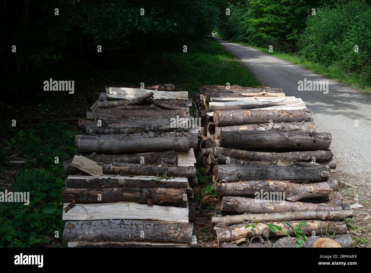 Stere De Bois High Resolution Stock Photography and Images - Alamy
