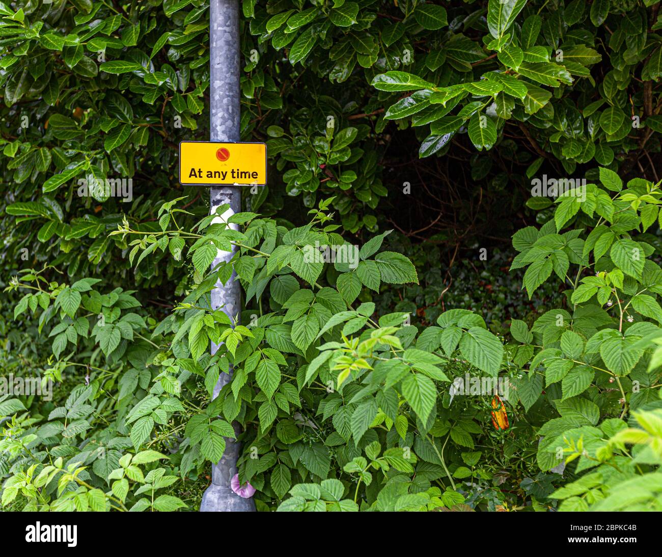 No waiting sign hi-res stock photography and images - Alamy