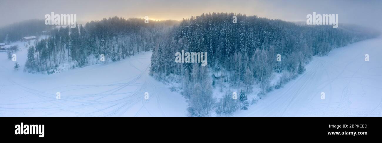 Aerial panorama view of winter pine tree forest, subarctic landscape ...