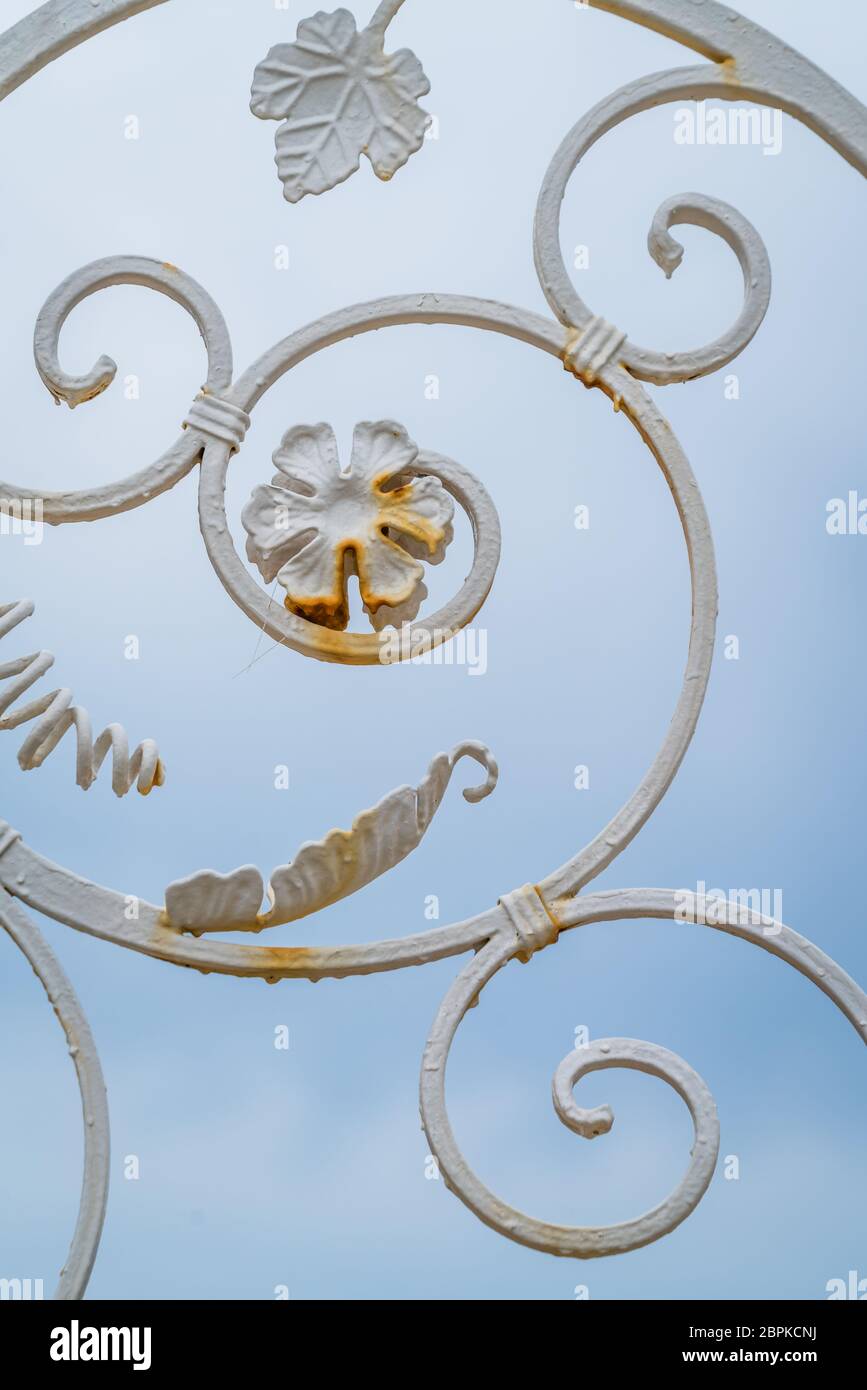 A detail of the wrought iron fence of the railing with flowery patterns ...