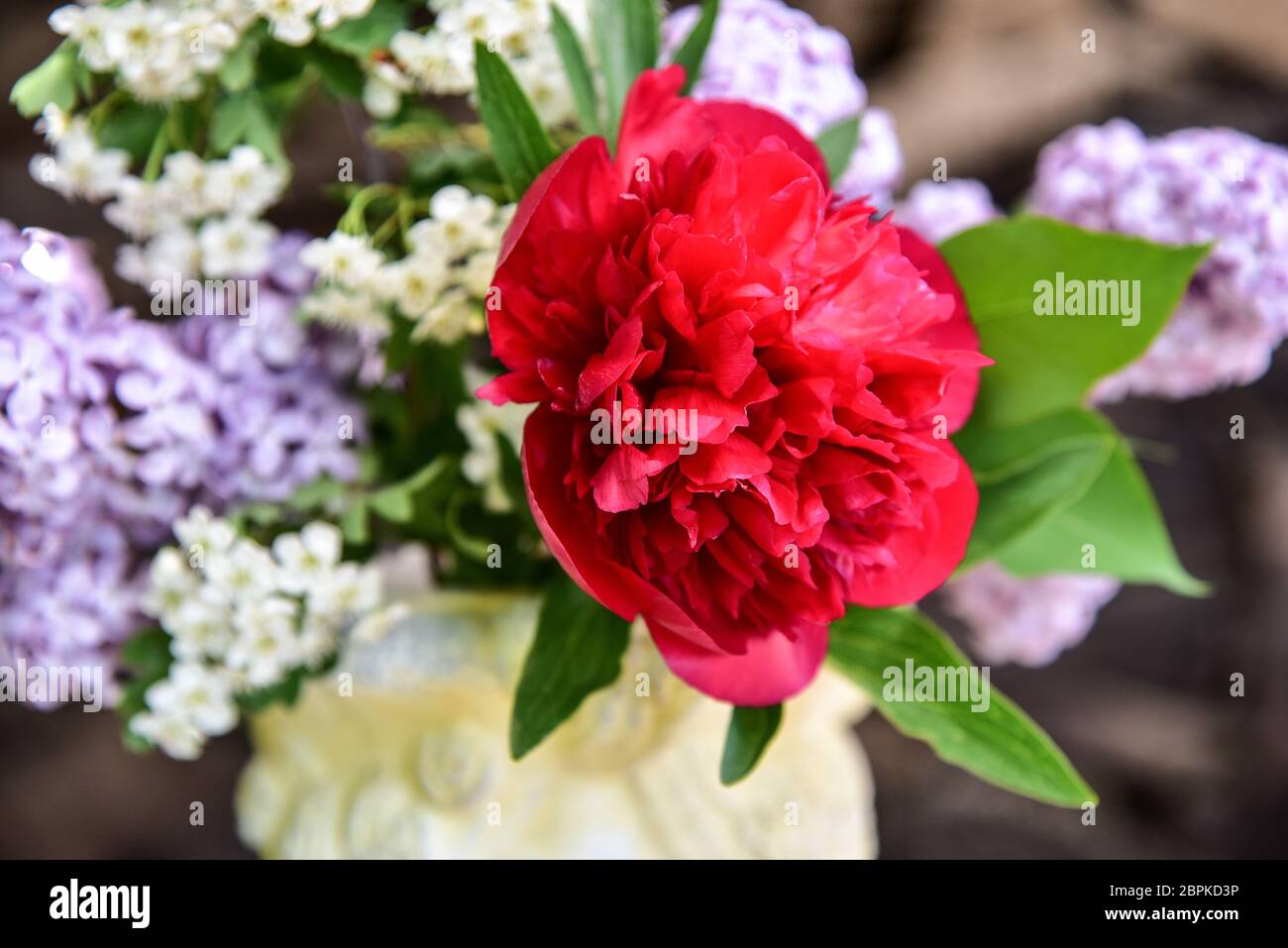 Peony map hi-res stock photography and images - Alamy