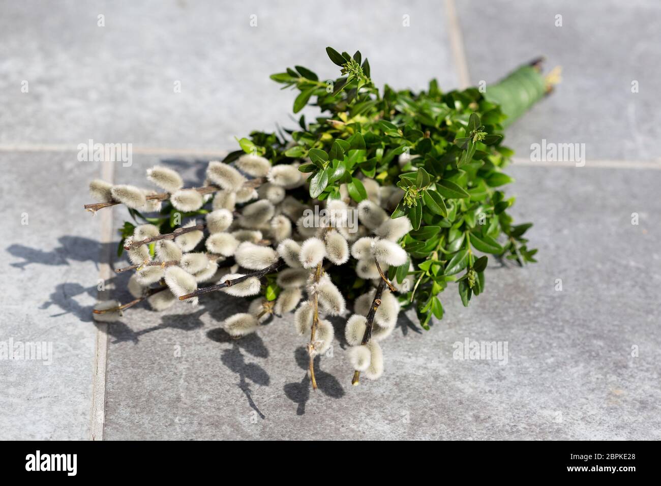Green palm broom on stone background Stock Photo - Alamy