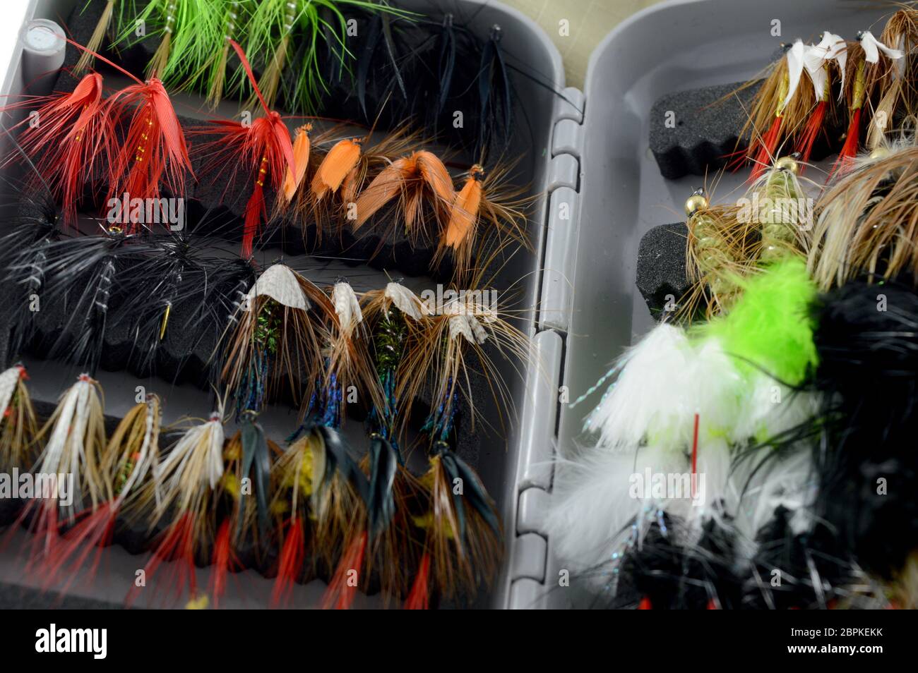 Green tackle box hi-res stock photography and images - Alamy