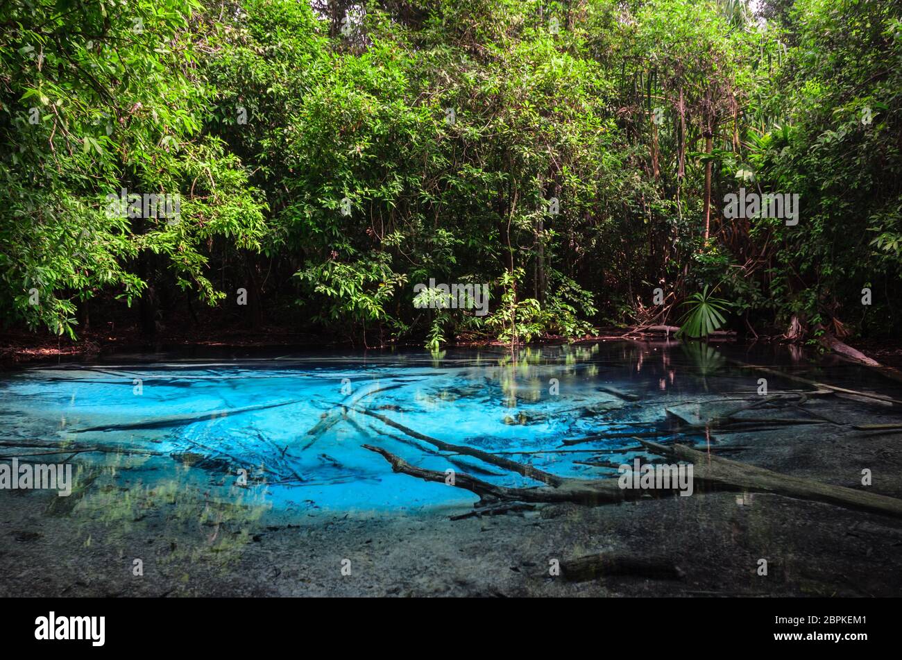 Emerald blue pool (Sra Morakot) in Krabi province, Thailand. Beautiful ...