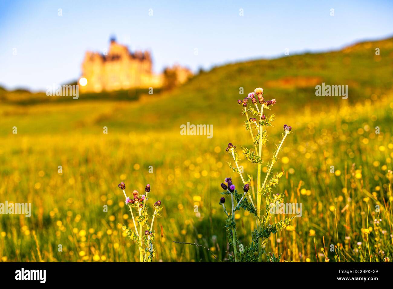 Glengorm Castle on the Isle of Mull, Scotland Stock Photo - Alamy