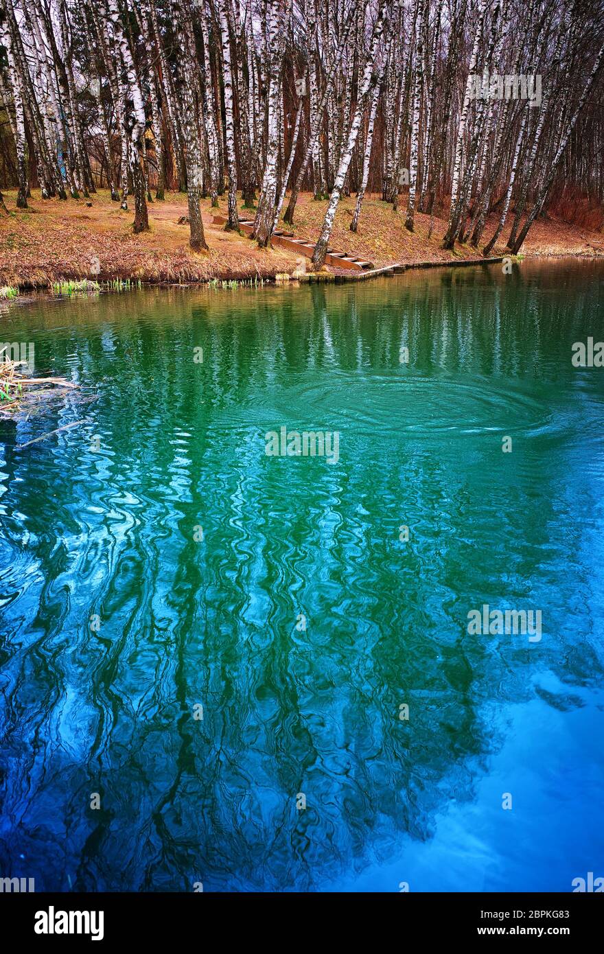 Dramatic tree reflections at city park background Stock Photo - Alamy