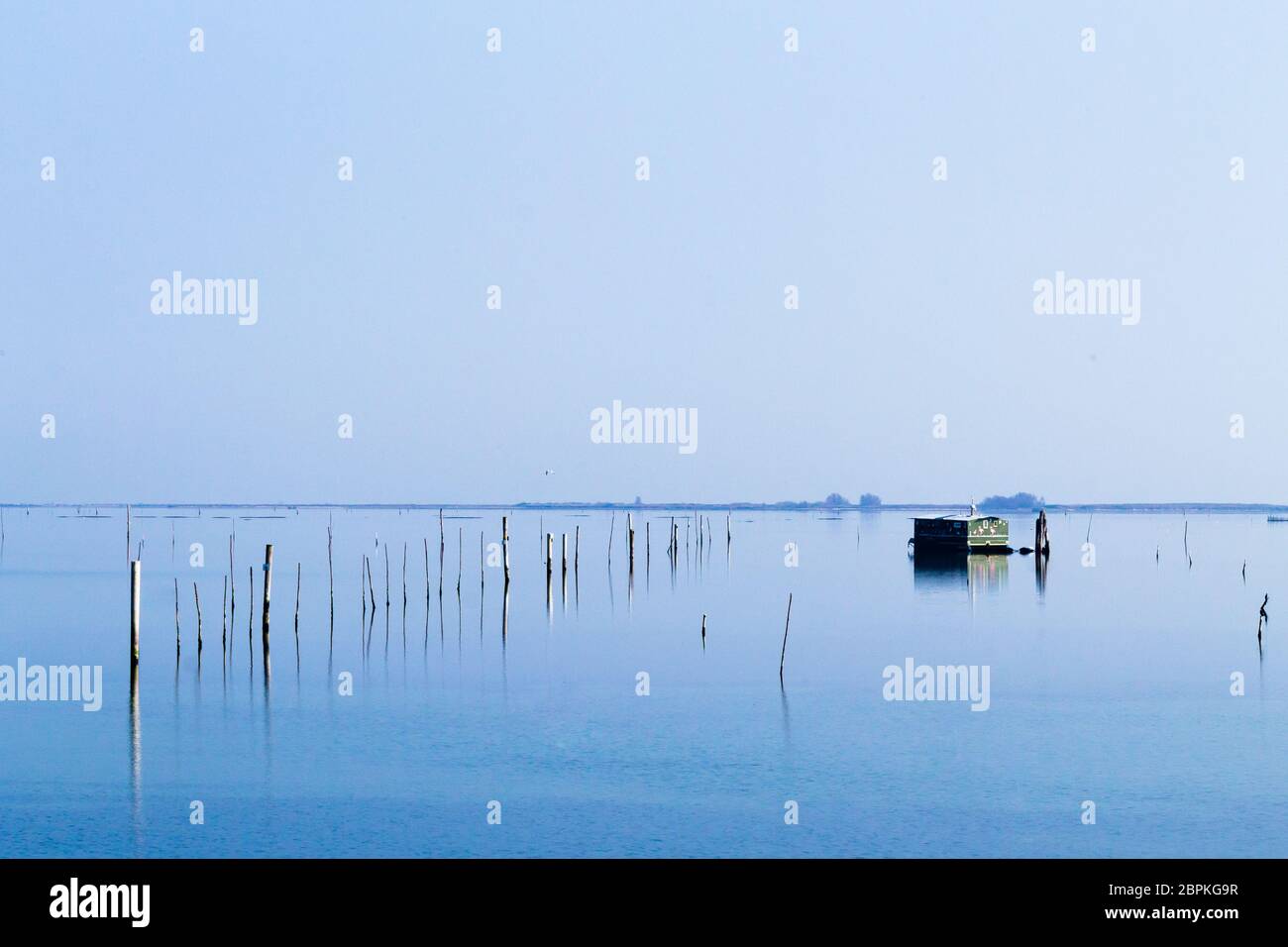 Shellfish farming from Po river lagoon, Italy. Scardovari beach ...