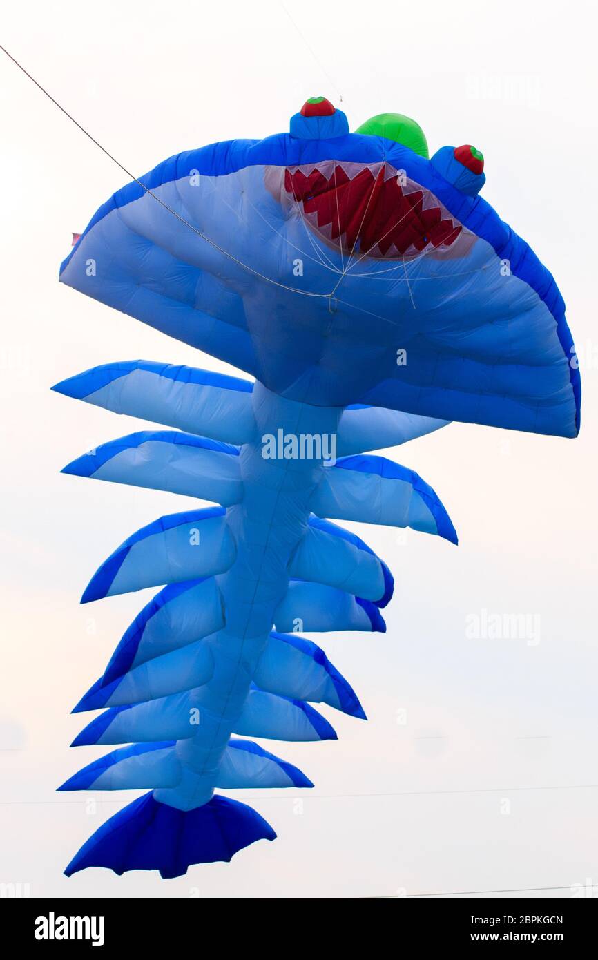 Blue kite that is flying. Blue fish kite Stock Photo - Alamy