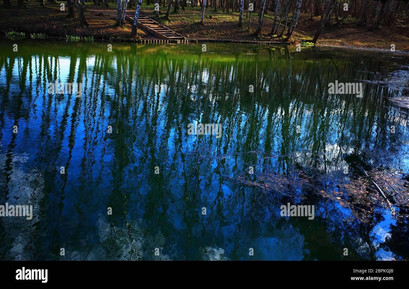Dramatic tree reflections at park lake background Stock Photo - Alamy