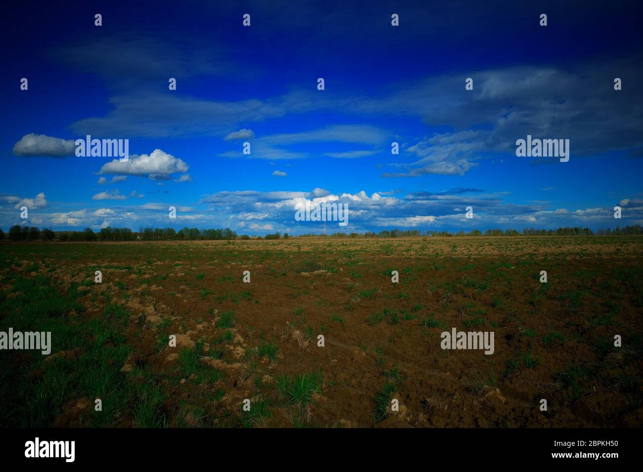 Empty eco farm field background Stock Photo - Alamy