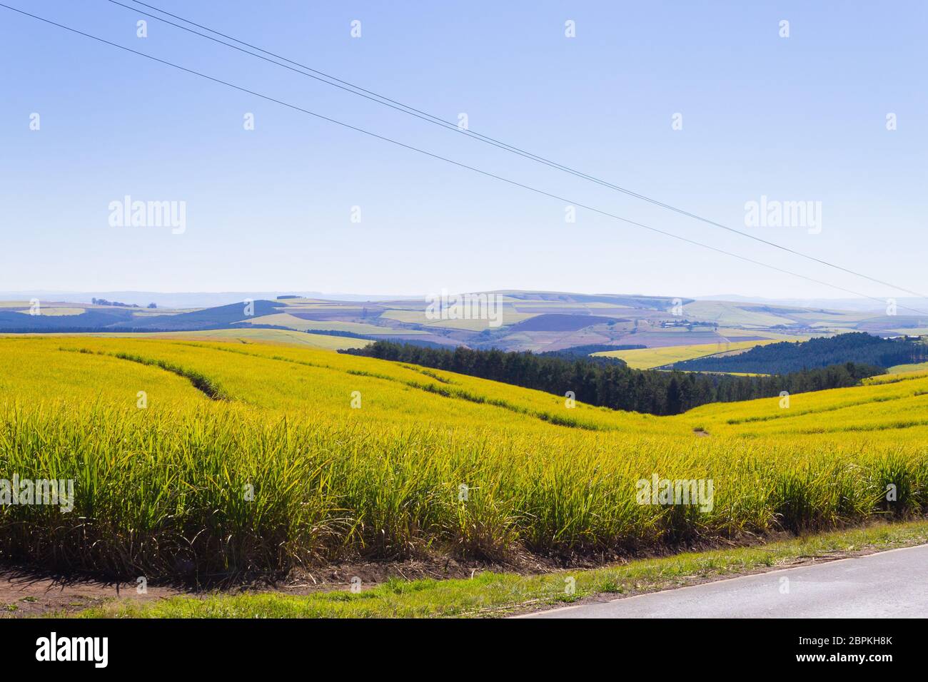 Valley of a Thousand hills landscape. Green hills panorama. South ...