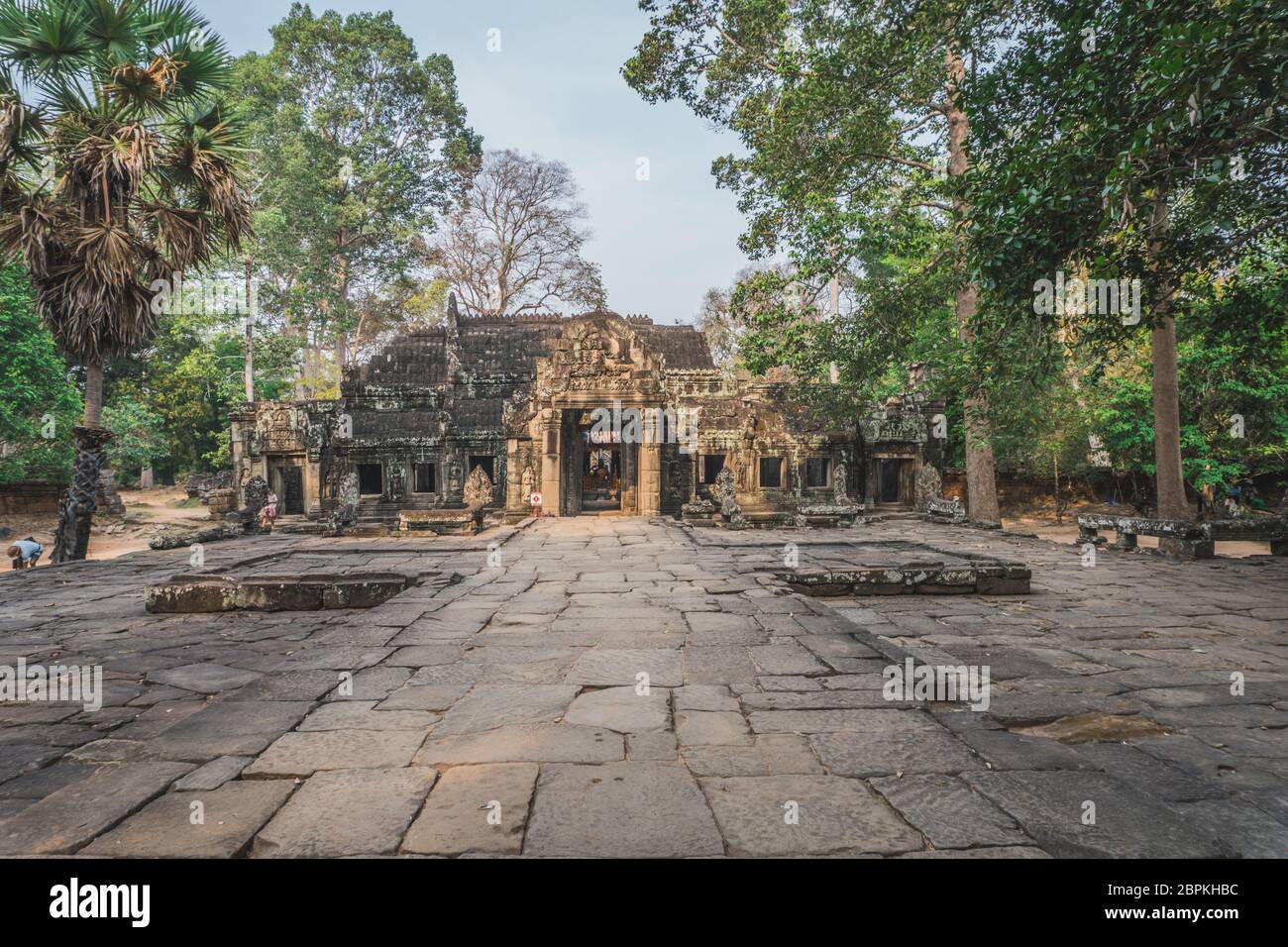 Huge Banyan Tree Ancient Angkor Wat Ruins Panorama Sunrise Asia ...