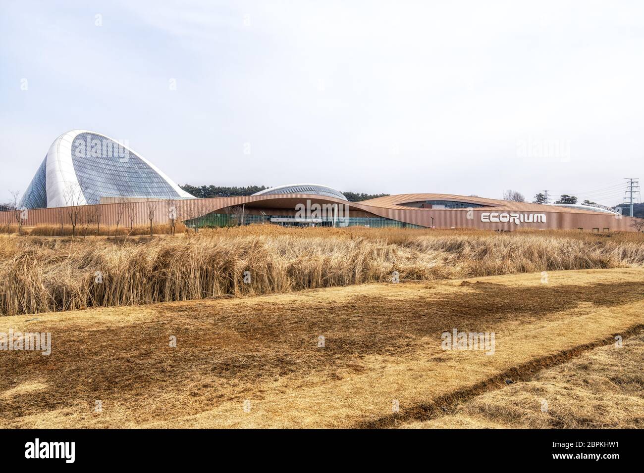 National ecology center korea hi-res stock photography and images - Alamy