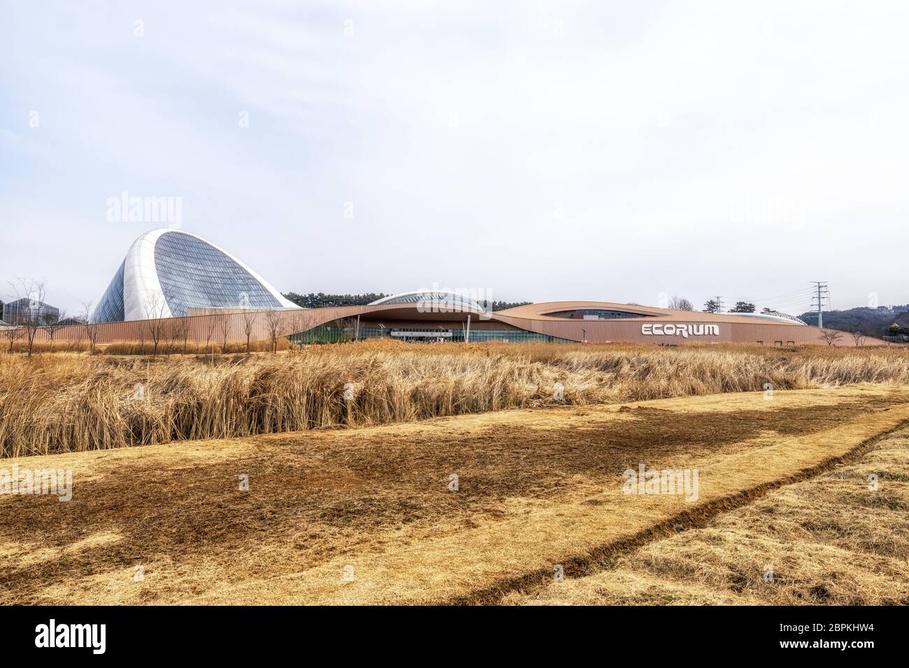 National ecology center korea hi-res stock photography and images - Alamy