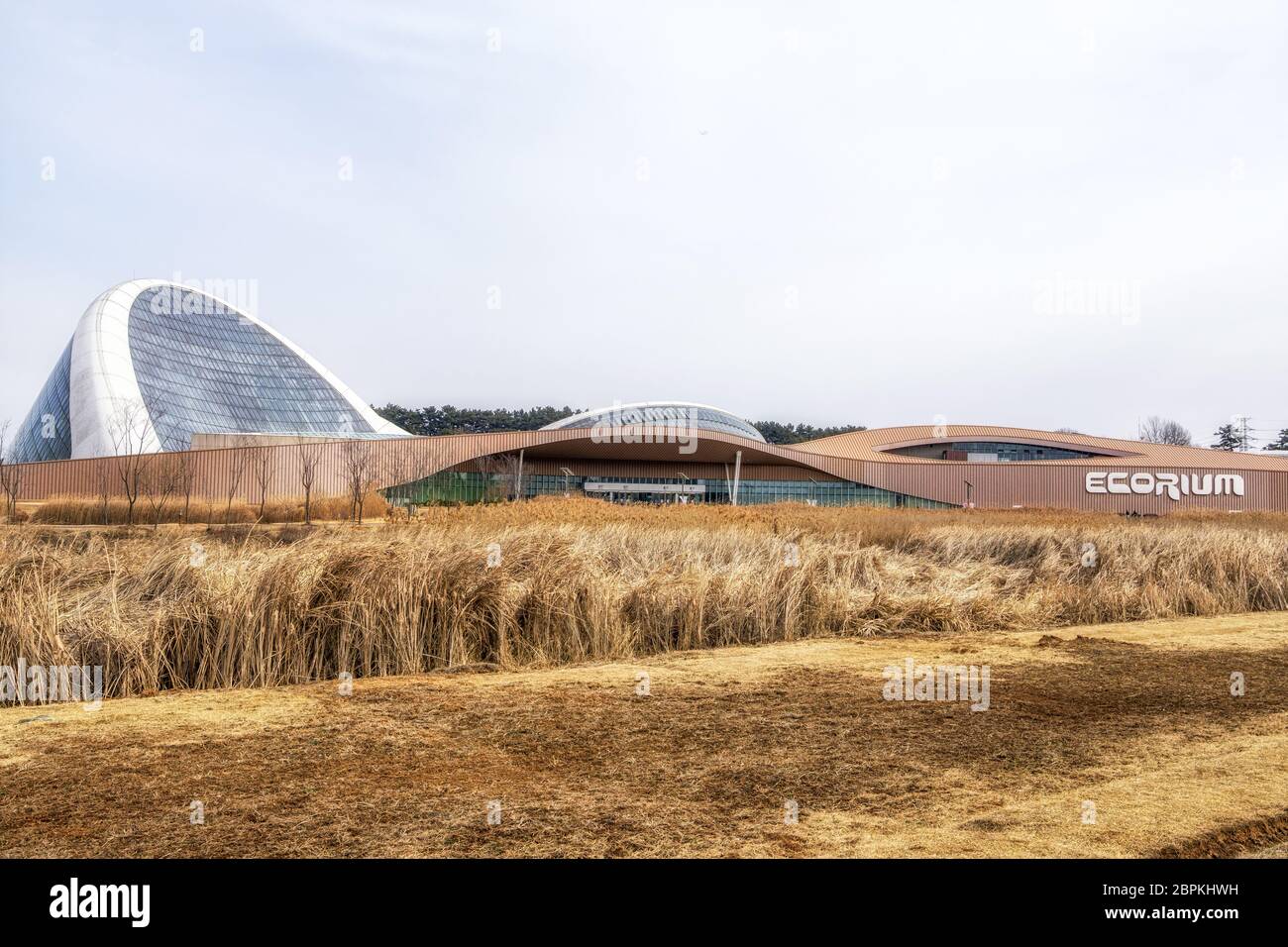 Seocheon National Institue of Ecology main exhibition hall Ecorium ...