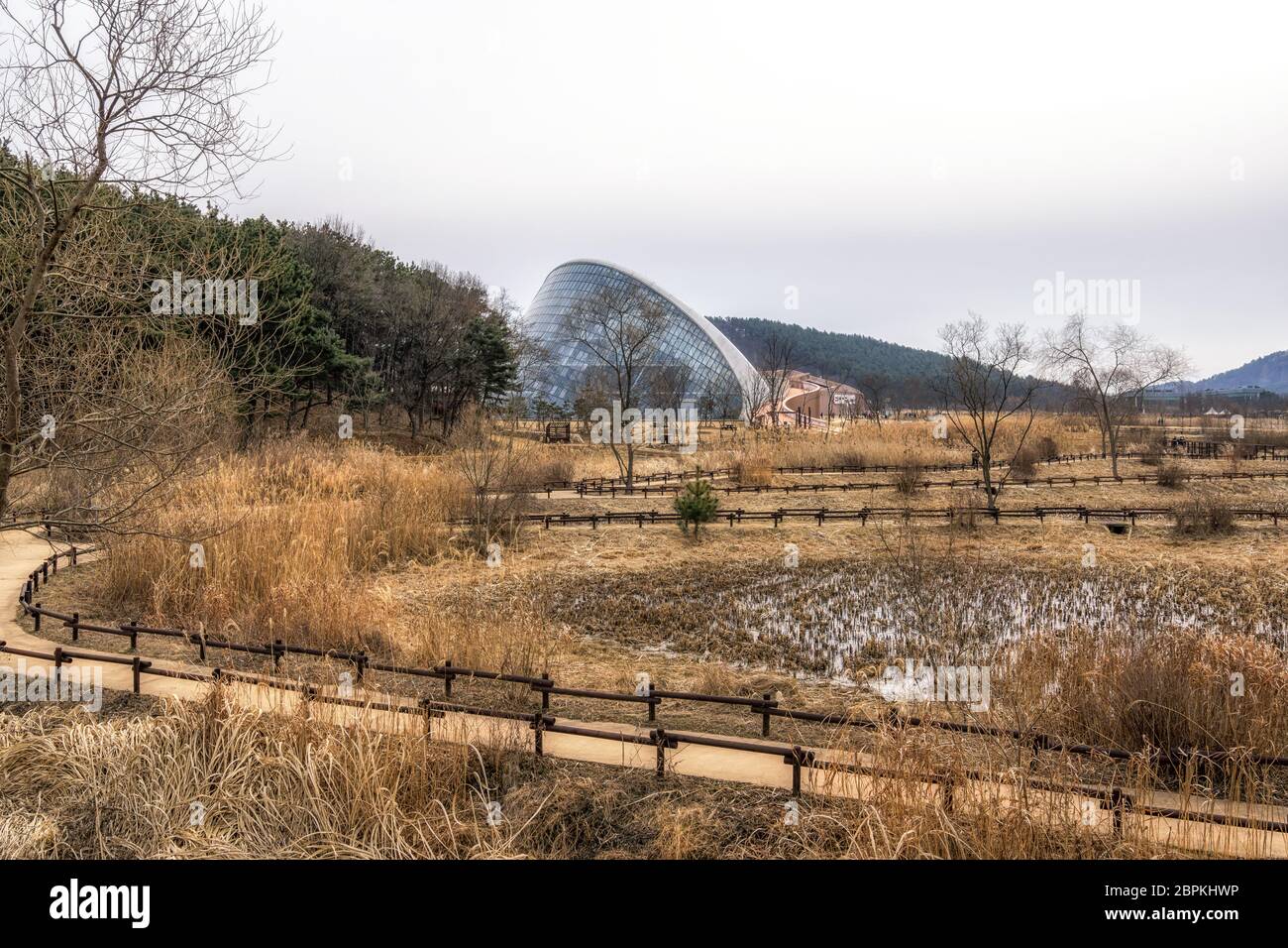 National ecology center korea hi-res stock photography and images - Alamy