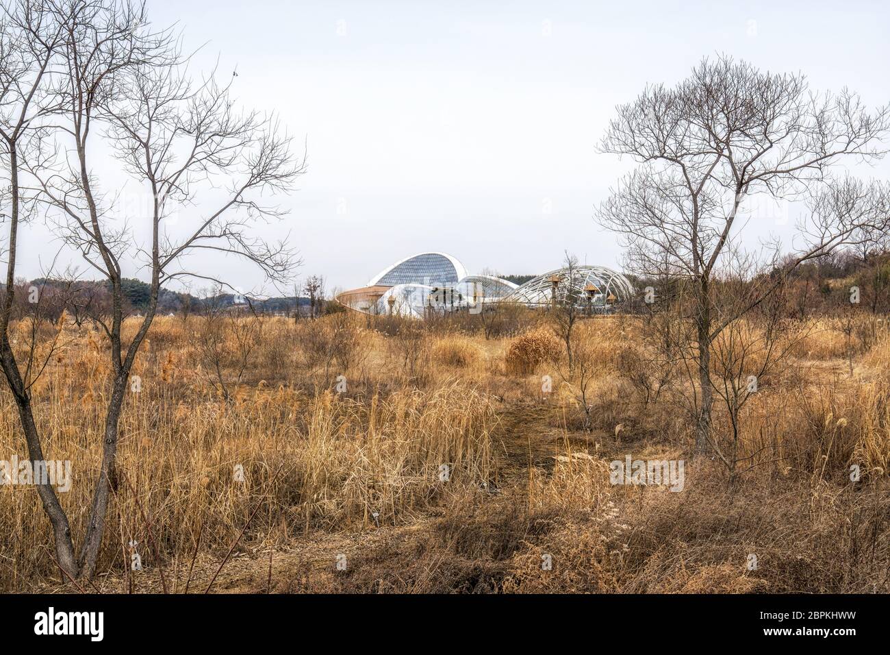 National ecology center korea hi-res stock photography and images - Alamy