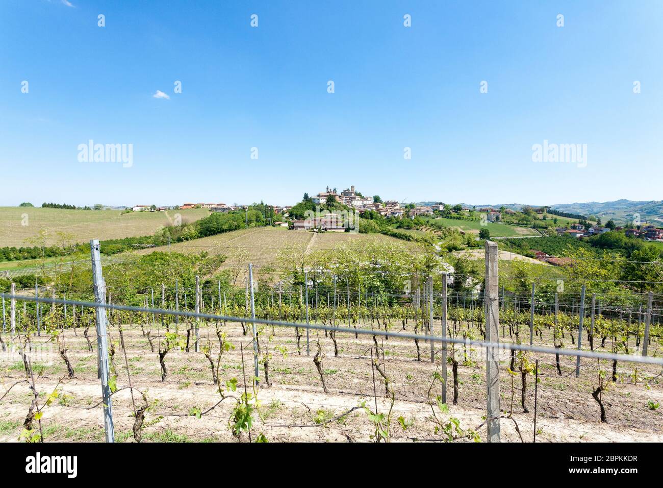 Beautiful Italian landscape. Vineyards from Langhe region,Italy ...