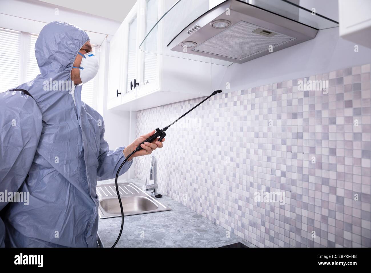 Domestic kitchen pest control hi-res stock photography and images - Alamy