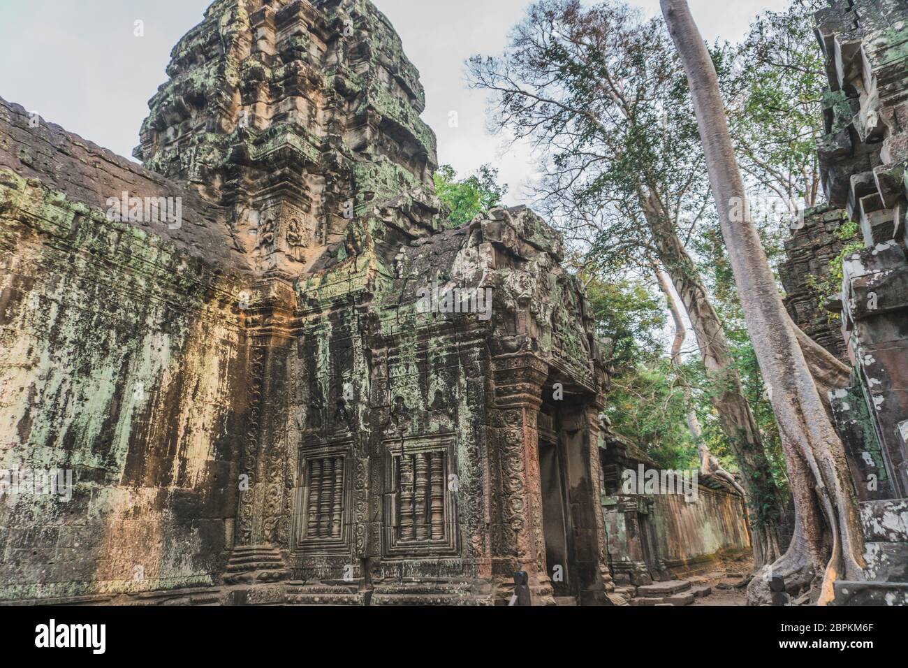Cambodia Angkor Wat Ta Prohm Temple Tomb Raider Tree Roots Ruins ...