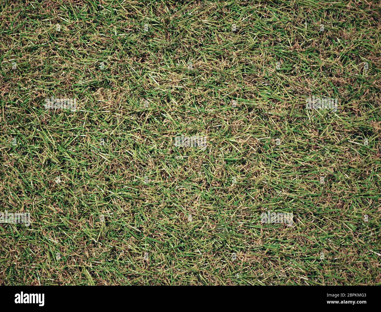 green plastic artificial grass texture useful as a background Stock ...