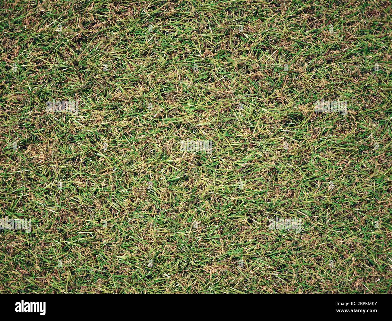 green plastic artificial grass texture useful as a background Stock ...