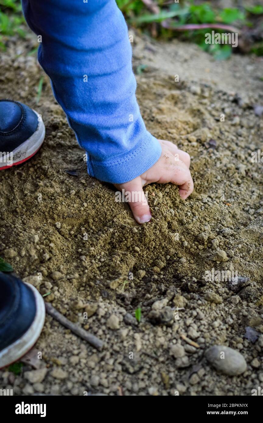 Hand digging hi-res stock photography and images - Alamy