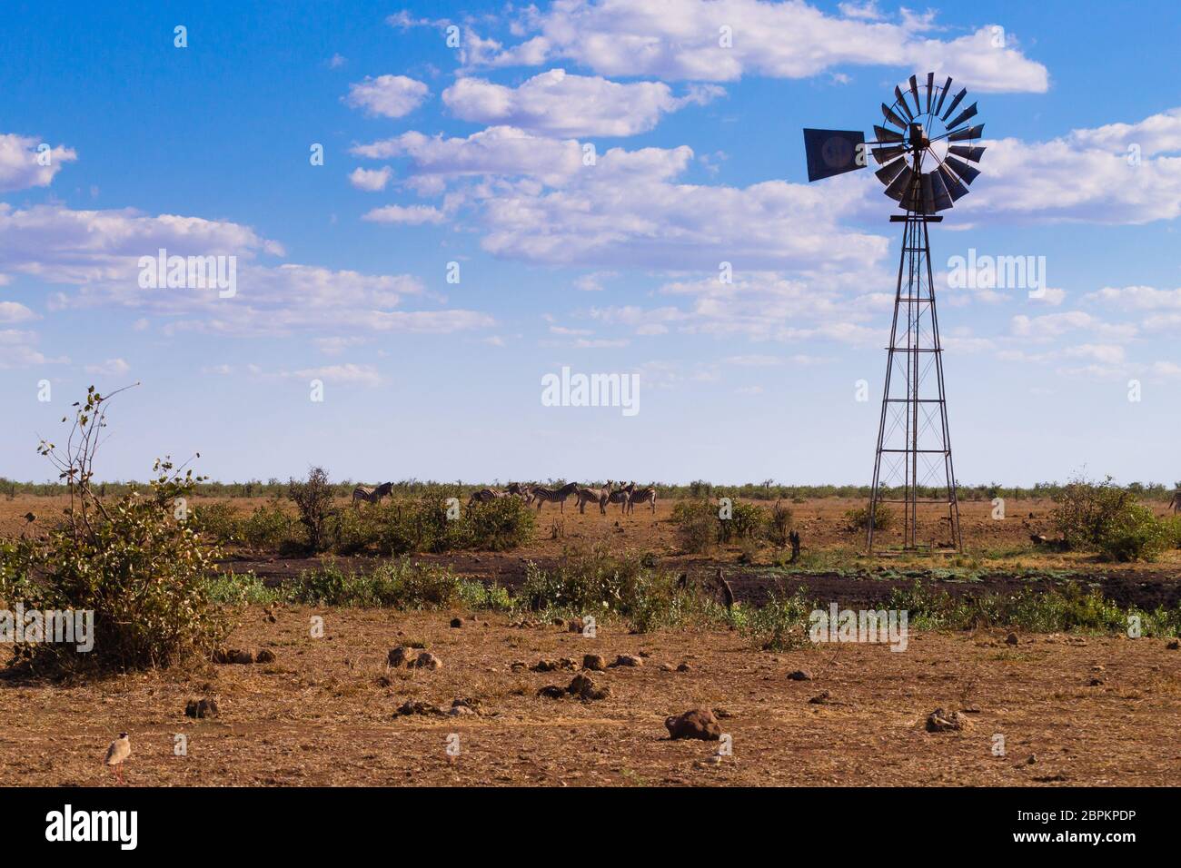 Windmill for Pumping Water from Kruger National Park. South African ...