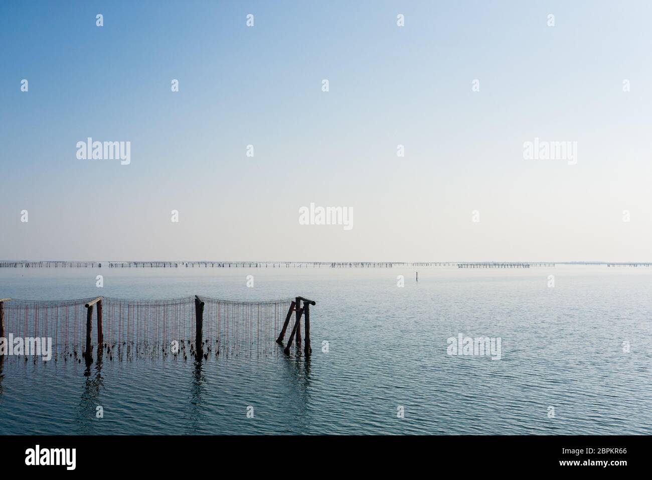 Shellfish farming from Po river lagoon, Italy. Scardovari beach ...