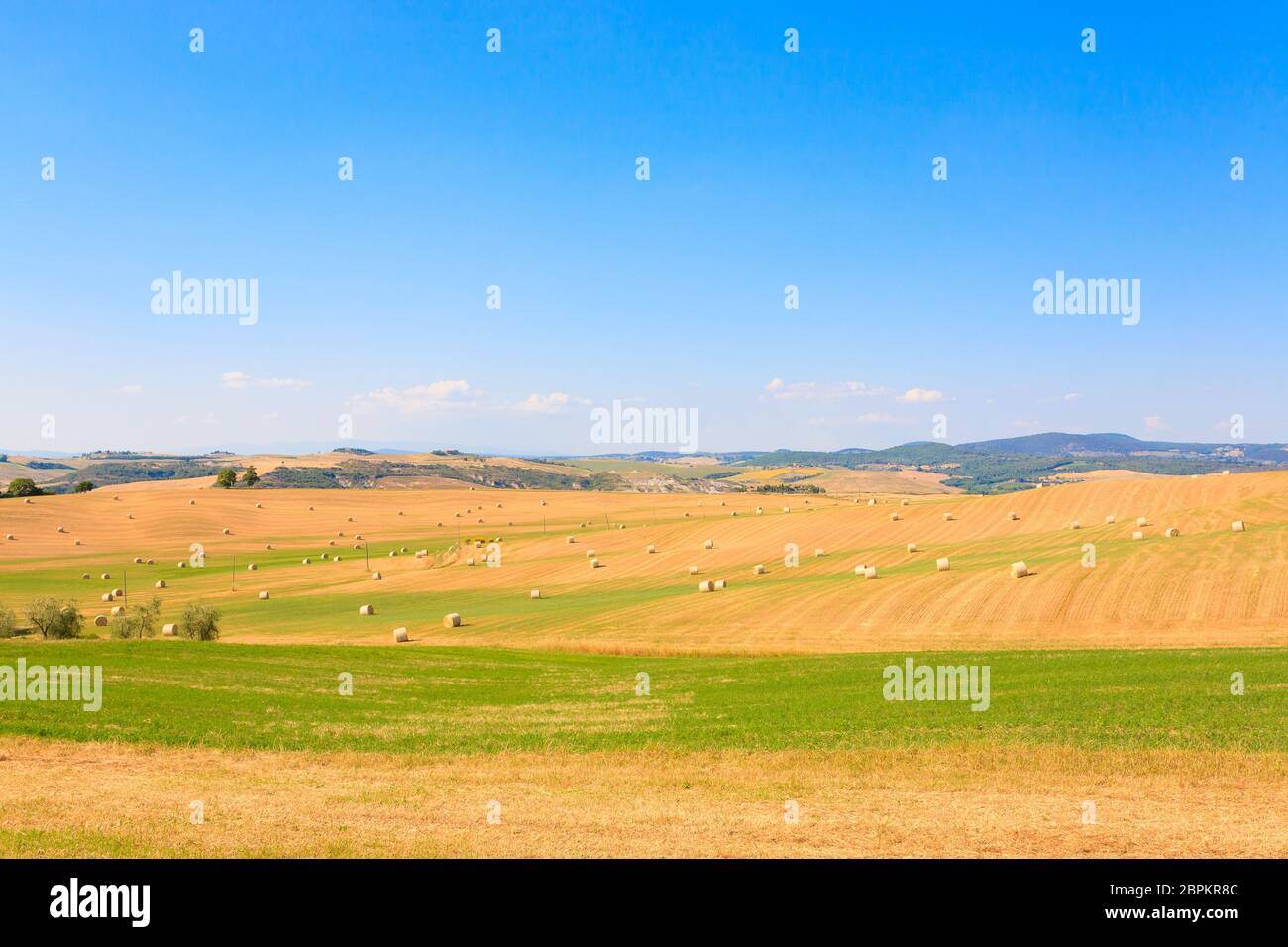 Tuscany hills landscape, Italy. Rural italian panorama Stock Photo - Alamy