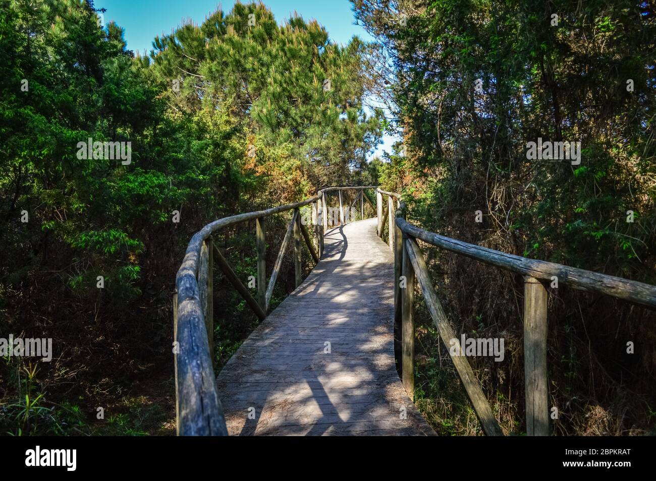 Wooden pathway through the Po Delta Botanical Garden in the salt marsh ...