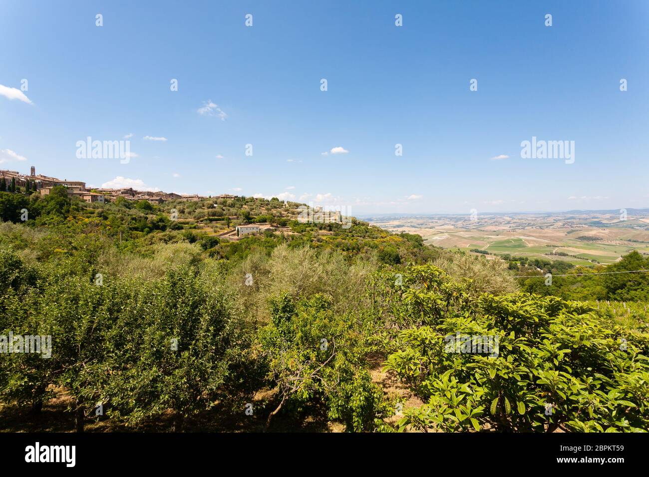 Montalcino view, tuscany, Italy. Famous italian medieval town. Rural ...