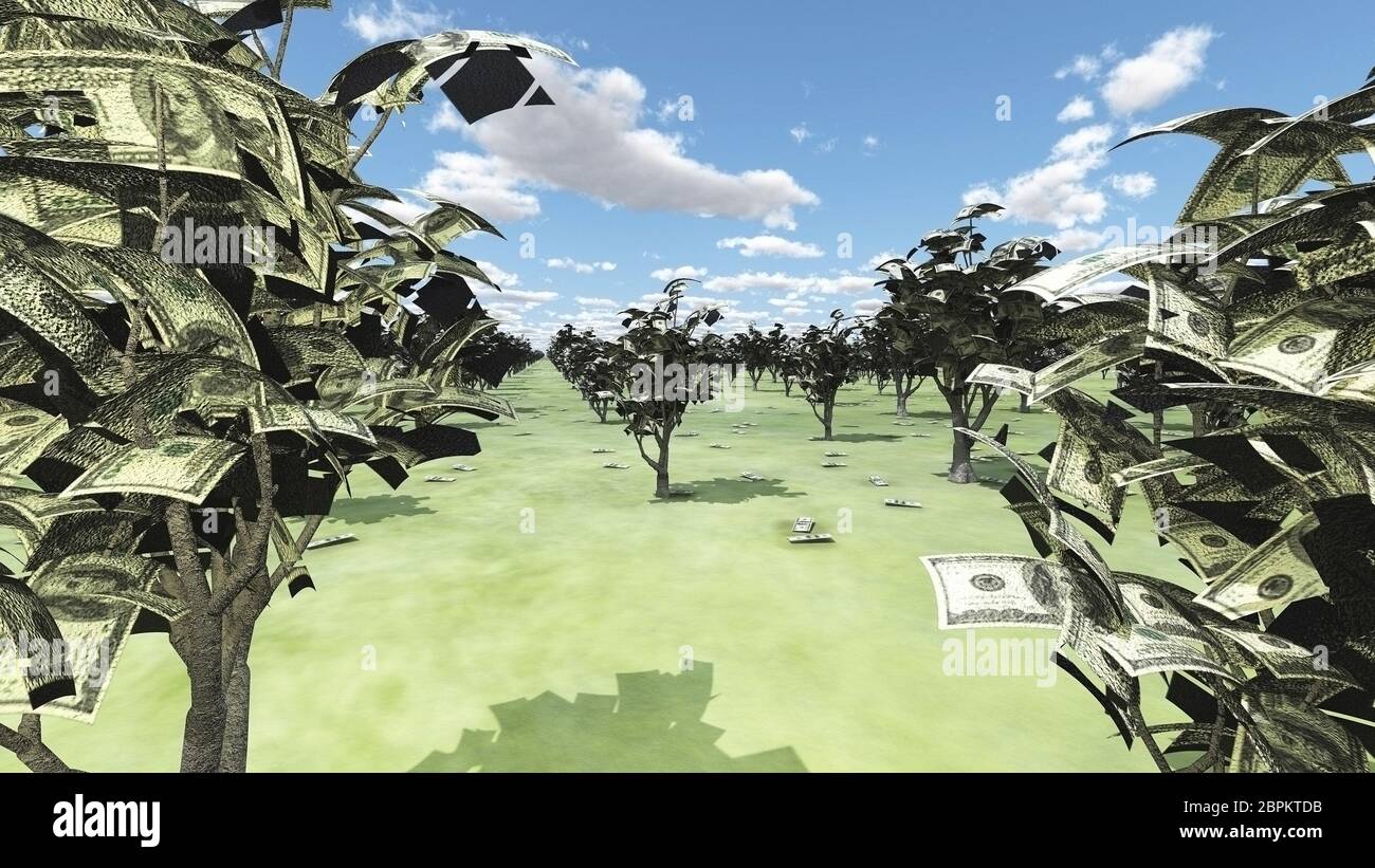 Orchard US Currency Trees Stock Photo - Alamy