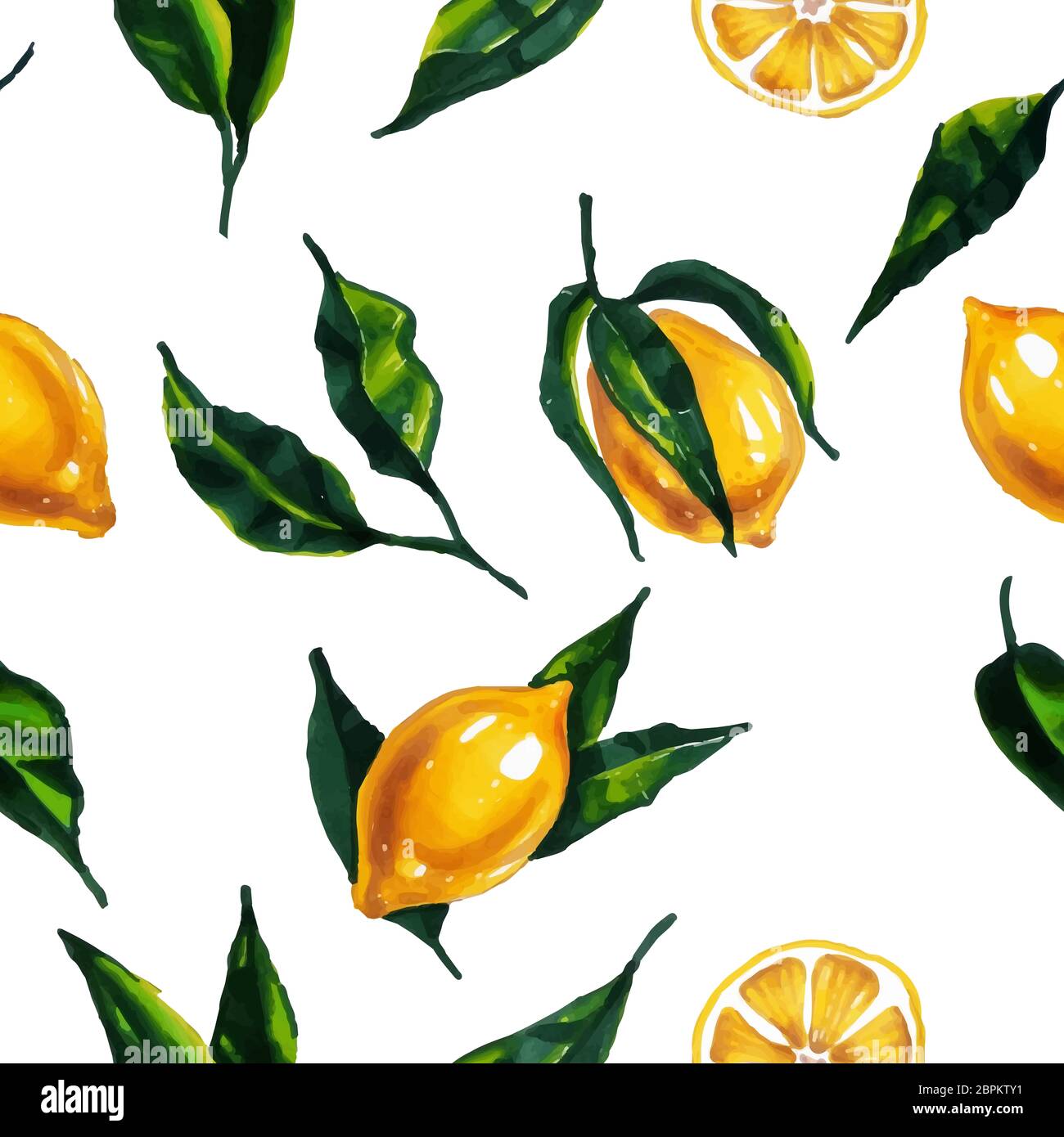 Hand drawn bright illustration with lemon branches Stock Photo - Alamy