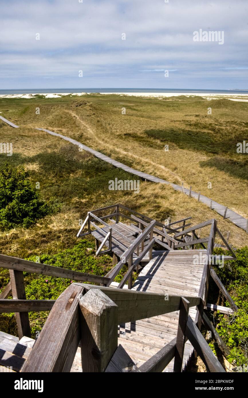 Amrum island hi-res stock photography and images - Alamy