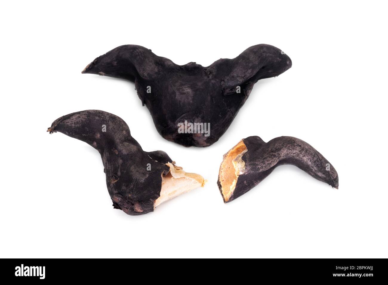 Water Caltrop High Resolution Stock Photography and Images - Alamy