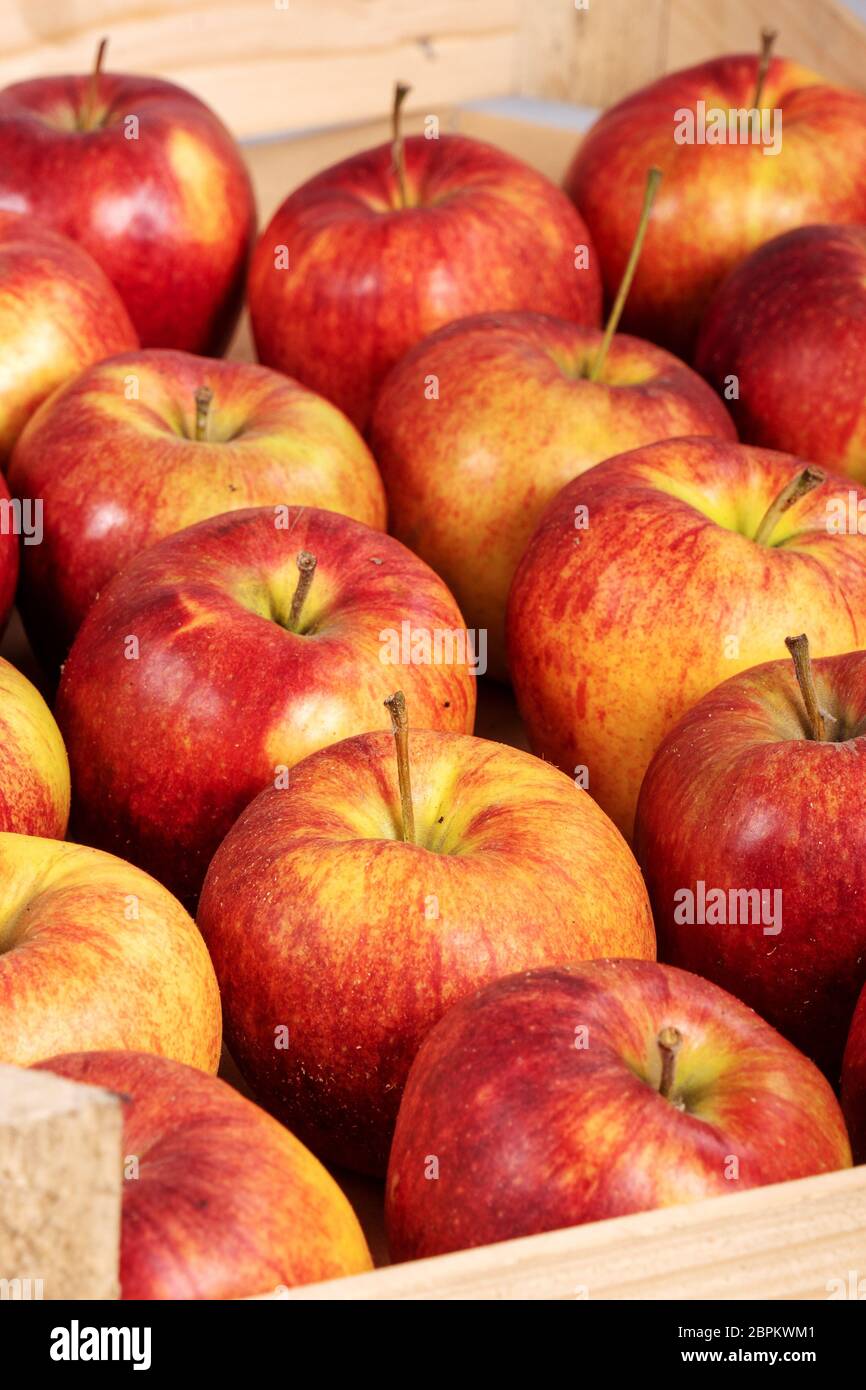 Normandy market apples hi-res stock photography and images - Alamy
