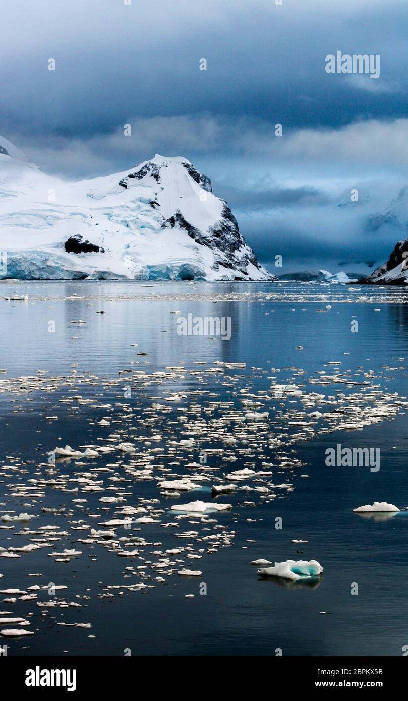 Pristine, crisp and calm morning at icy Neko Harbor, Antarctica Stock ...