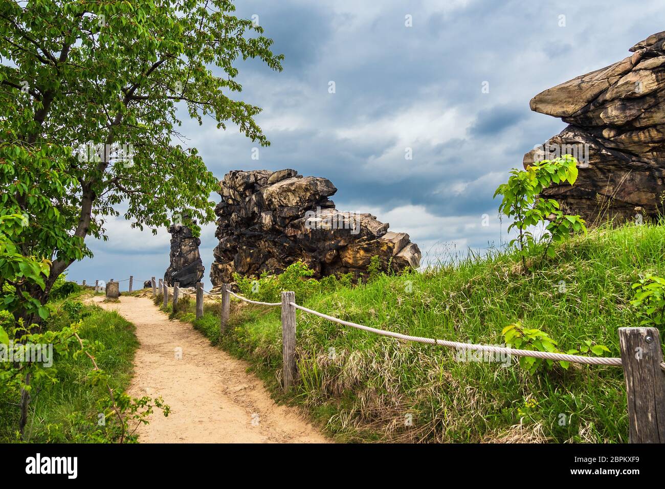 Landscape with trees and rocks in the Harz area, Germany Stock Photo ...