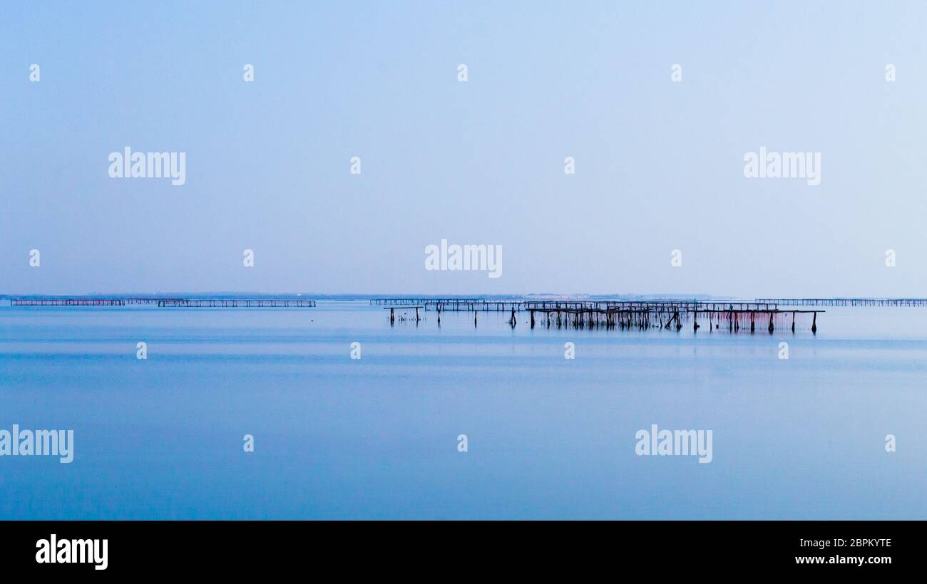 Shellfish farming from Po river lagoon, Italy. Scardovari beach ...