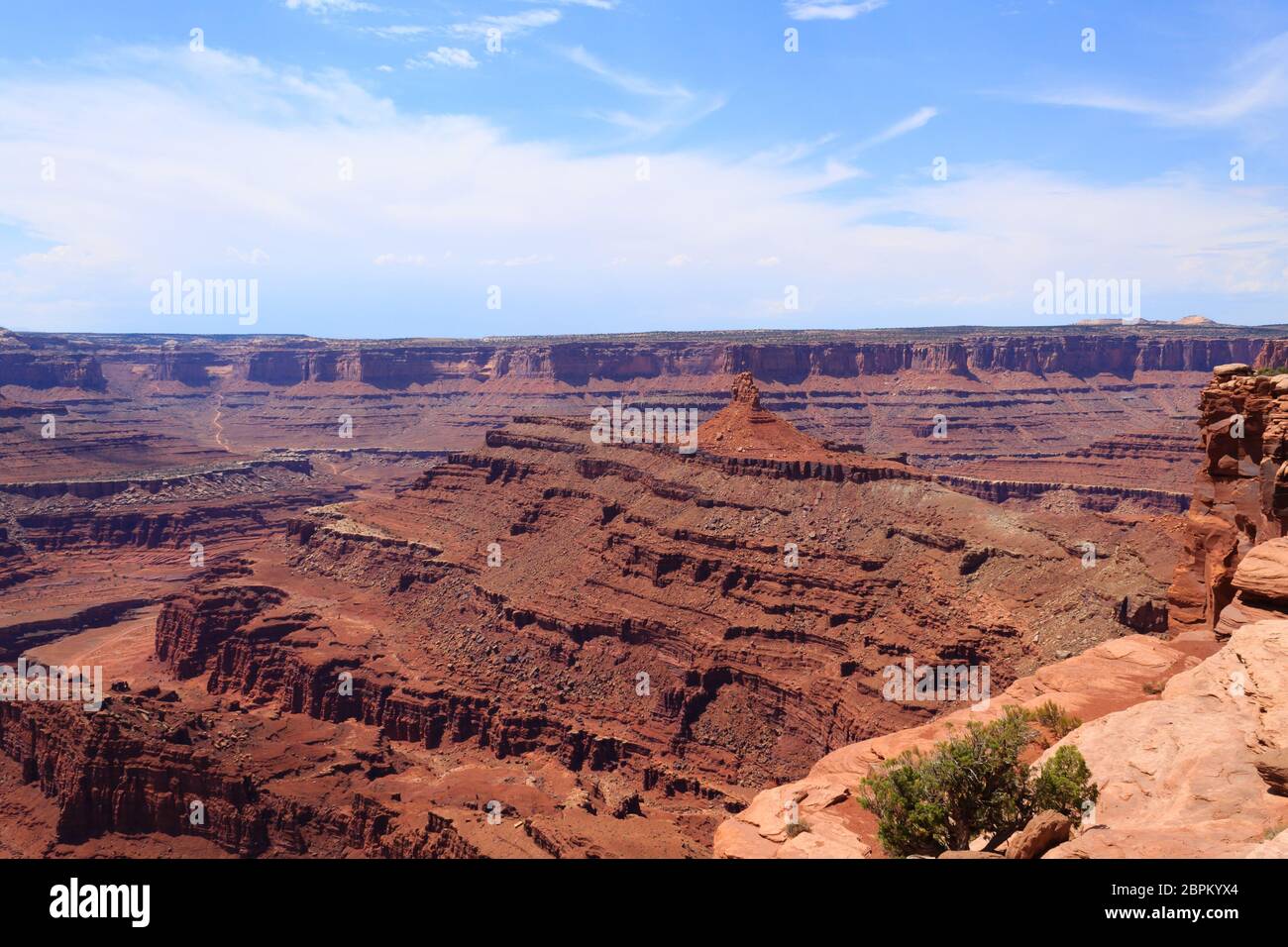 Colorado river canyon. Panorama from Utah. Red rocks. United States of ...